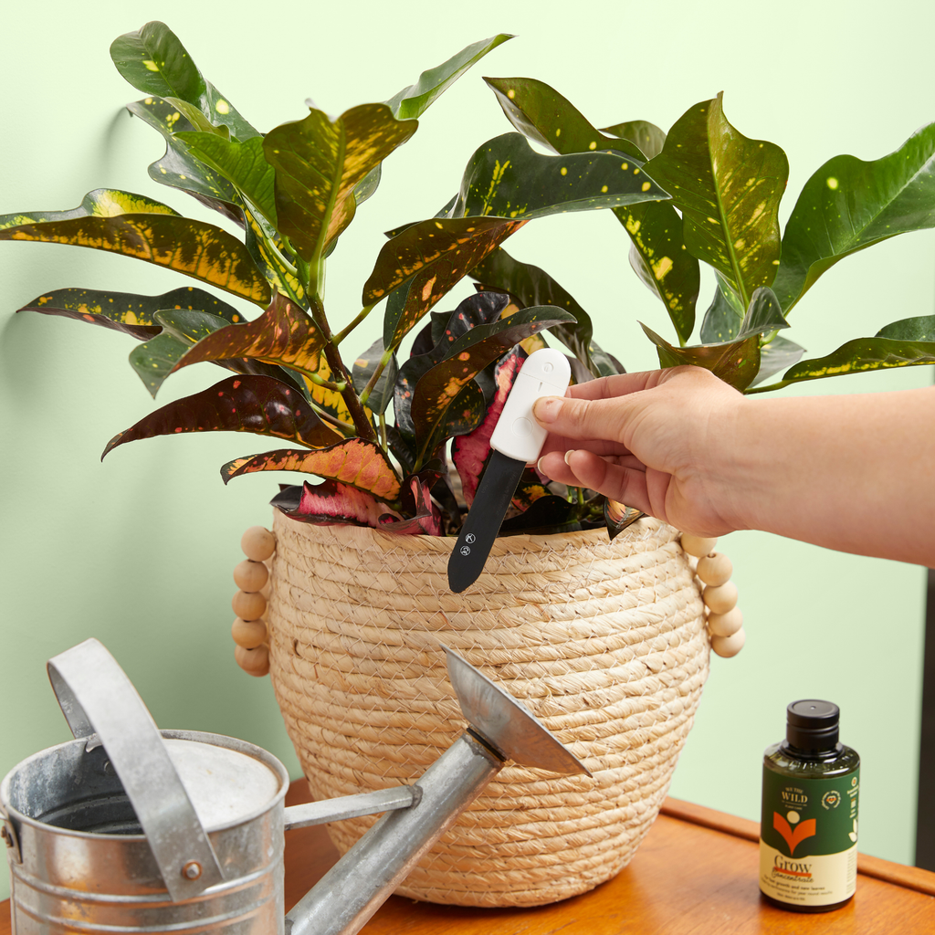 Soil Moisture Meter For Houseplants – Hammer + Vine